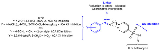 Current Perspectives on Biological Screening of Newly Synthetised Sulfanilamide Schiff Bases as ...