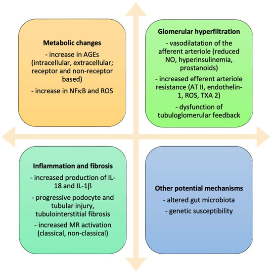 Finerenone: From the Mechanism of Action to Clinical Use in Kidney Disease