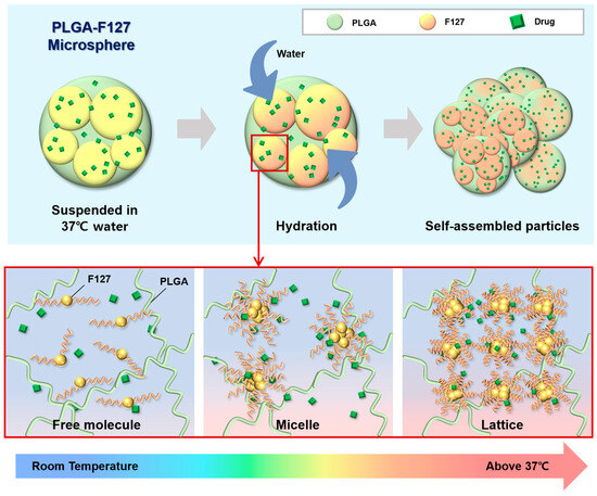 Self-Assembled PLGA-Pluronic F127 Microsphere for Sustained Drug Release for Osteoarthritis