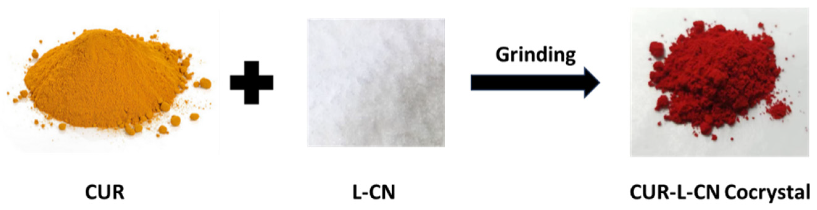 Improving the Dissolution Rate and Bioavailability of Curcumin via Co ...