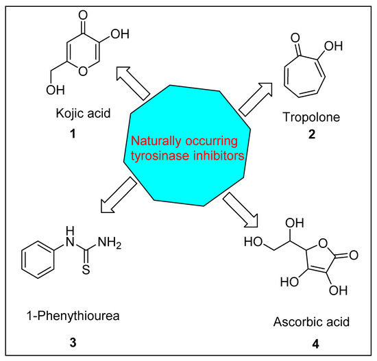Synergistic Biomedical Potential and Molecular Docking Analyses of ...