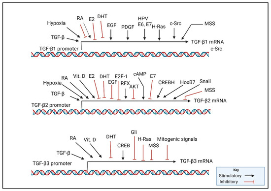 Advances and Challenges in Targeting TGF-β Isoforms for Therapeutic ...