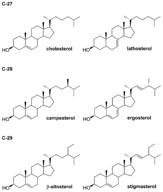 Phytosterols and the Digestive System: A Review Study from Insights ...