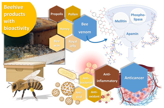 Bee Venom-Loaded Niosomes as Innovative Platforms for Cancer Treatment ...