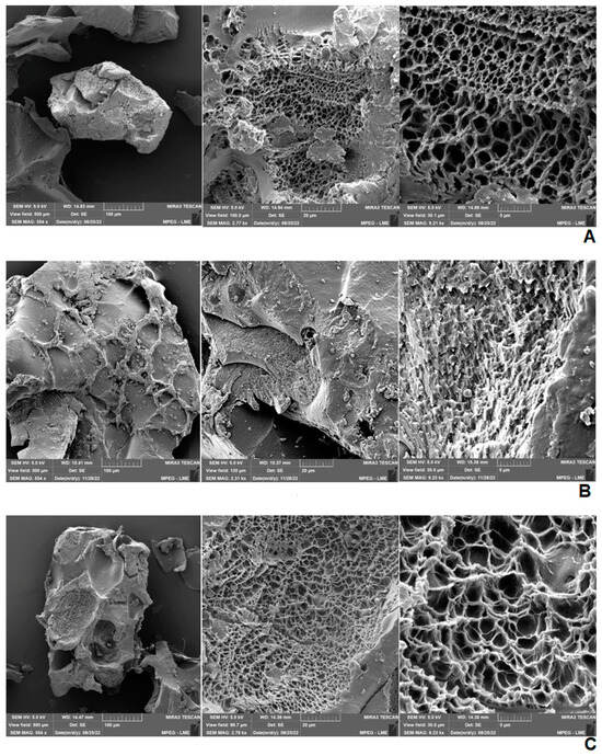 Characterization, Biocompatibility and Antioxidant Activity of ...