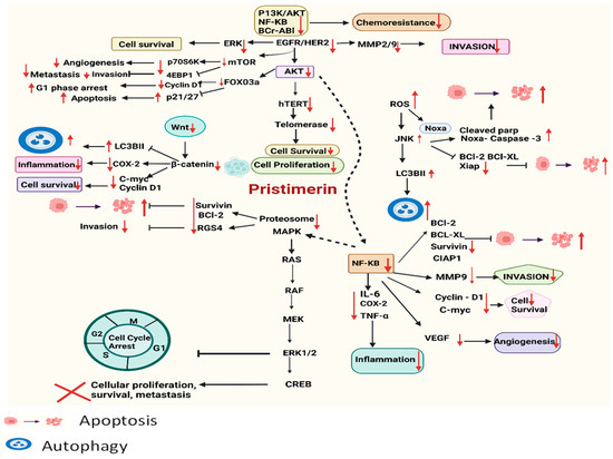 Pharmaceuticals | Free Full-Text | Anticancer Potential and Molecular ...