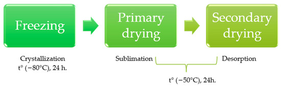Optimizing Encapsulation: Comparative Analysis of Spray-Drying and ...