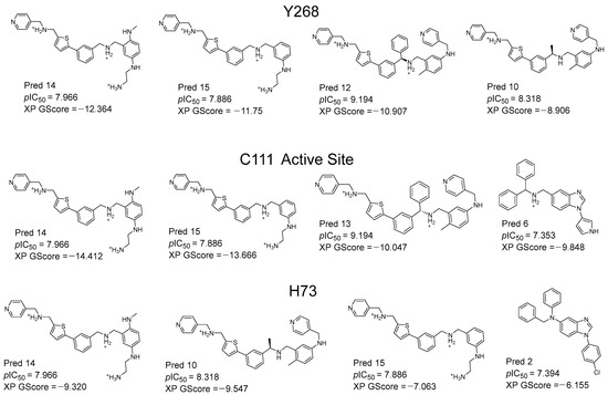 Arylamines QSAR-Based Design and Molecular Dynamics of New ...