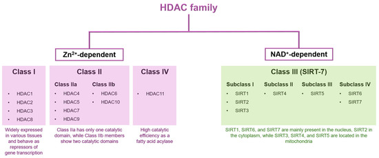 The Histone Deacetylase Family: Structural Features and Application of ...