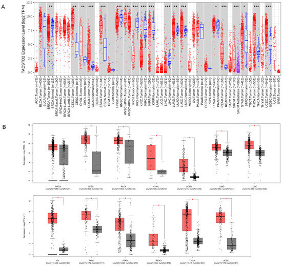 Progress and Innovative Combination Therapies in Trop-2-Targeted ADCs