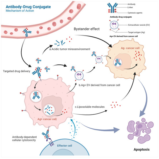 Pharmaceuticals | Free Full-Text | Progress and Innovative Combination Therapies in Trop-2 ...
