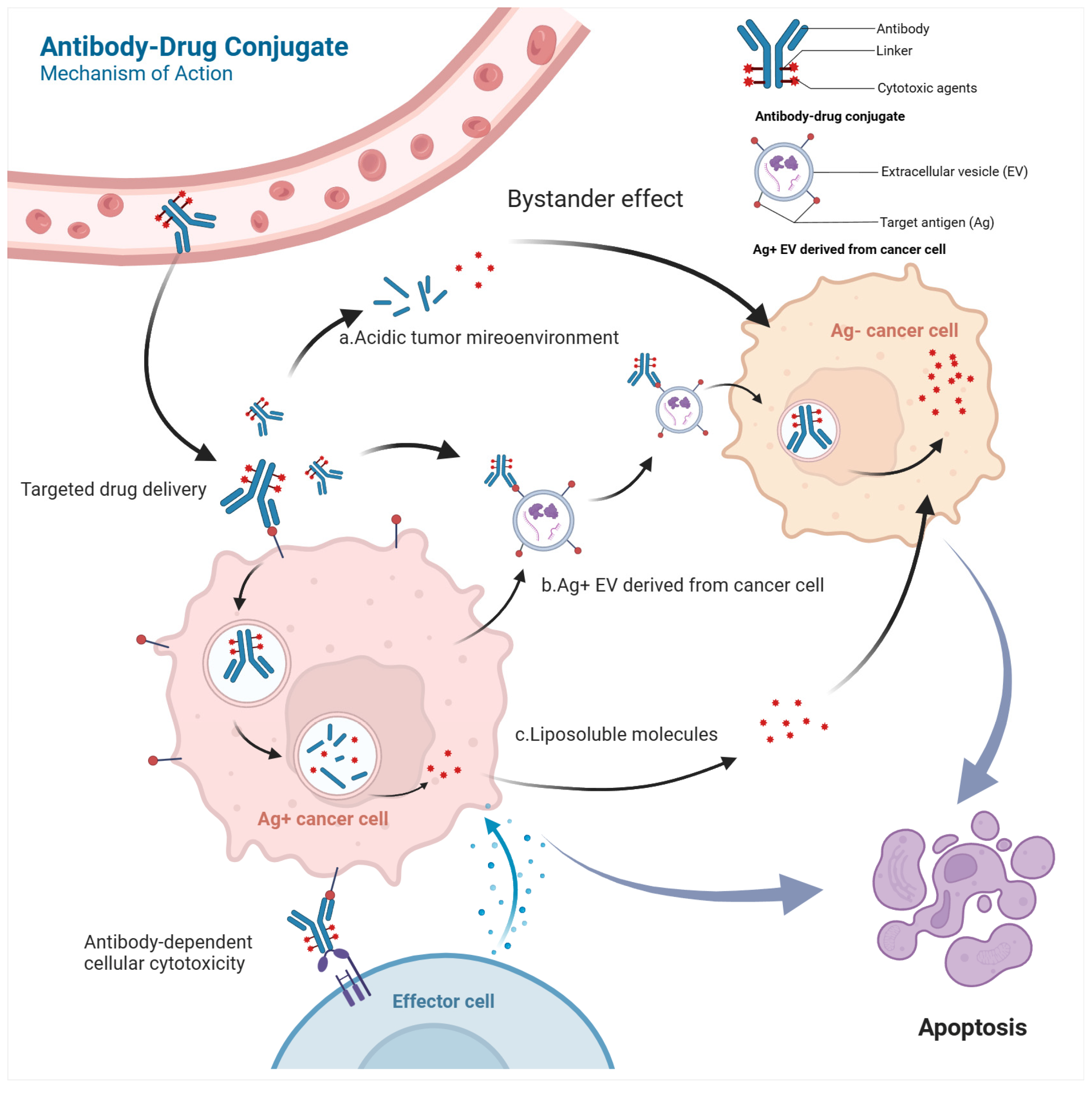 Progress and Innovative Combination Therapies in Trop-2-Targeted ADCs