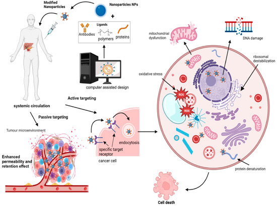 Nanoparticle-Mediated Drug Delivery Systems for Precision Targeting in ...