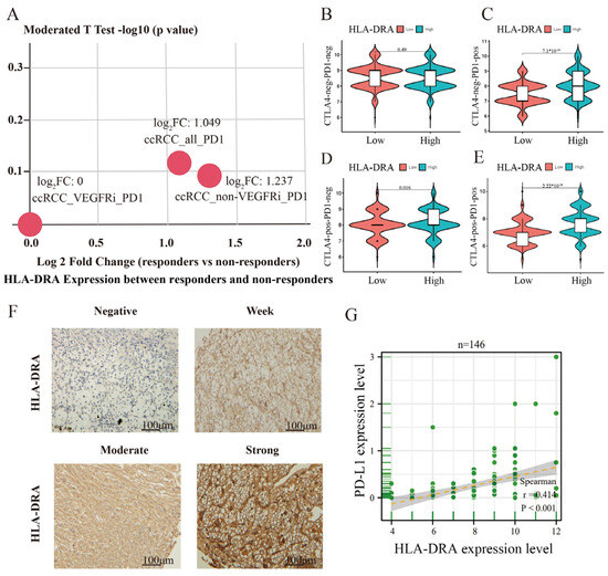 Improved Immunotherapy Outcomes via Cuproptosis Upregulation of HLA-DRA ...