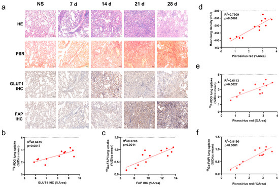 [68Ga]FAPI PET for Imaging and Treatment Monitoring in a Preclinical ...