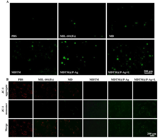 Pharmaceuticals | Free Full-Text | Iron-Based Metal-Organic Frameworks as Multiple Cascade ...