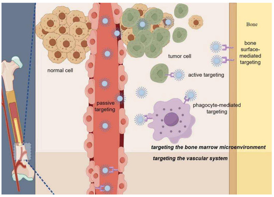Pharmaceuticals | Free Full-Text | Targeted Delivery Strategies for ...