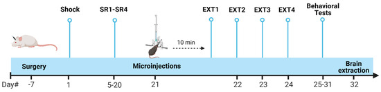 Examining the Role of Oxytocinergic Signaling and Neuroinflammatory ...