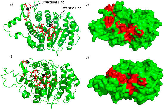Structure-Based Identification of Novel Histone Deacetylase 4 (HDAC4 ...