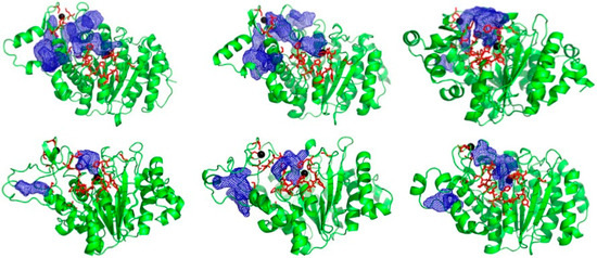 Structure-Based Identification of Novel Histone Deacetylase 4 (HDAC4 ...