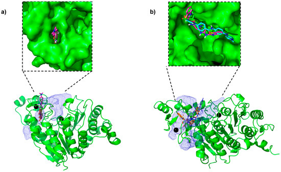 Structure-Based Identification of Novel Histone Deacetylase 4 (HDAC4 ...