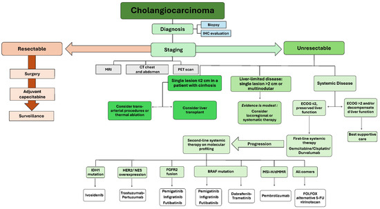 The Recent Trends of Systemic Treatments and Locoregional Therapies for Cholangiocarcinoma