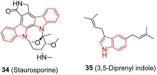 Indole Compounds in Oncology: Therapeutic Potential and Mechanistic ...