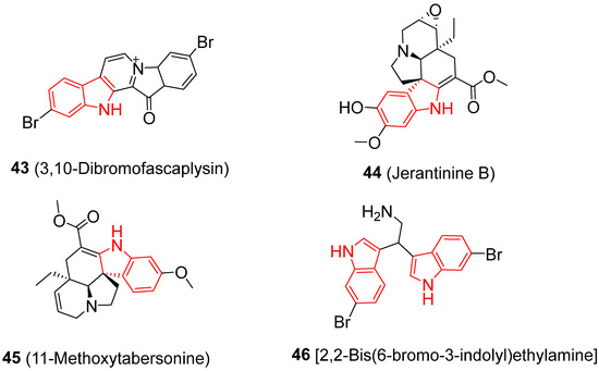 Indole Compounds in Oncology: Therapeutic Potential and Mechanistic ...