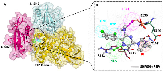 Discovery of Novel Allosteric SHP2 Inhibitor Using Pharmacophore-Based ...
