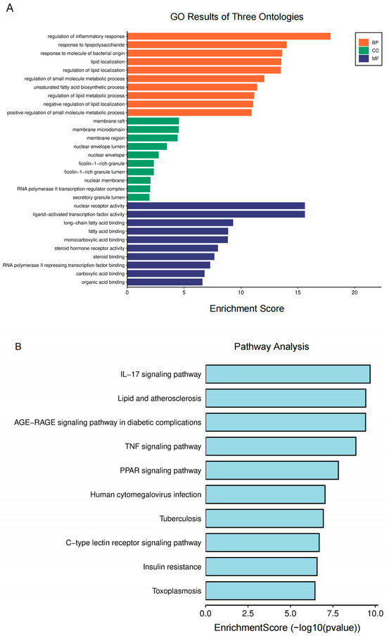 Exploring the Mechanism of Asiatic Acid against Atherosclerosis Based ...