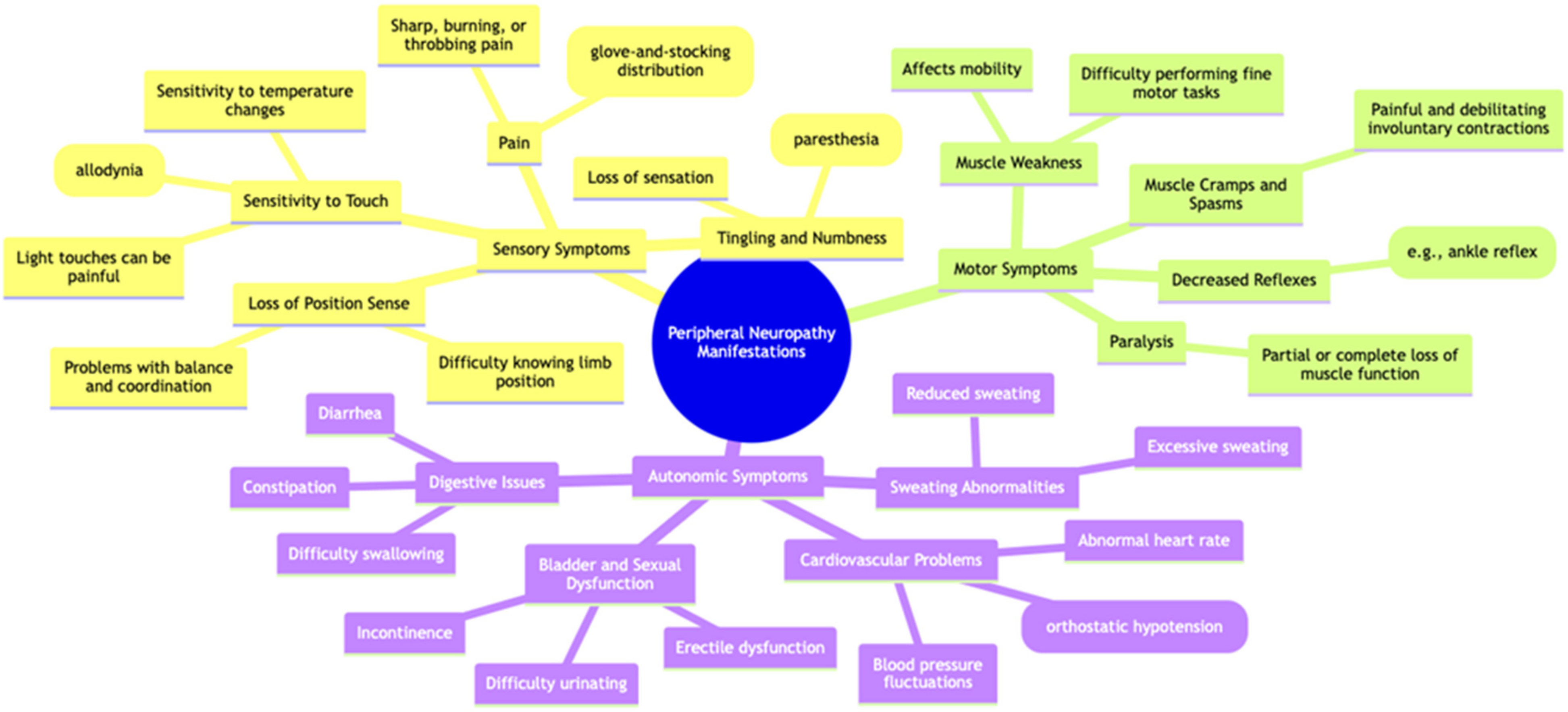 Navigating Preclinical Models and Medications for Peripheral Neuropathy ...