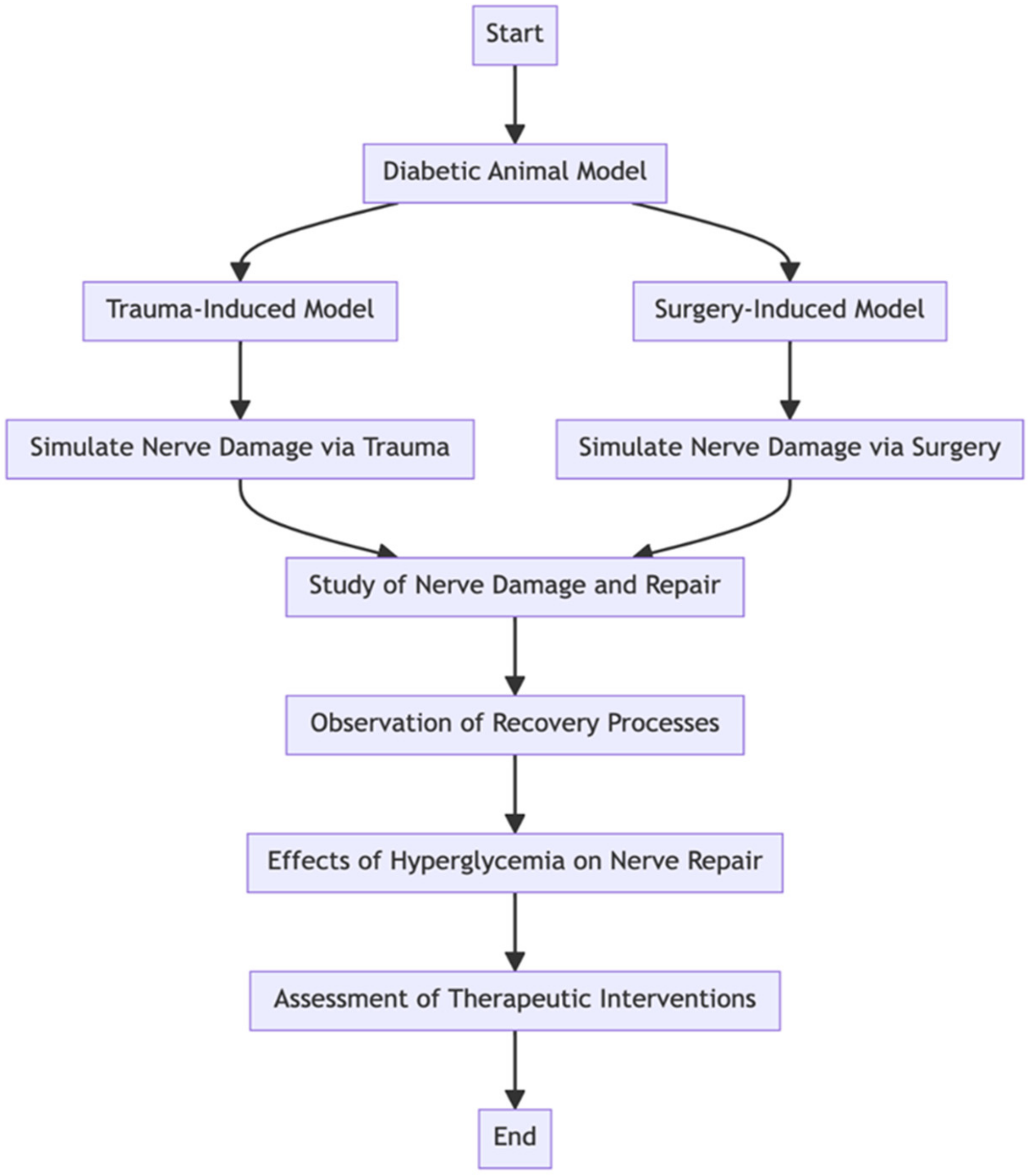 Navigating Preclinical Models and Medications for Peripheral Neuropathy ...