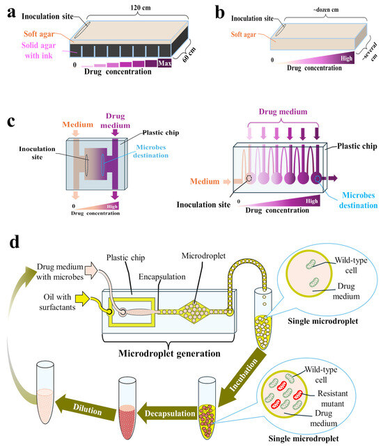 In Vitro Resistance-Predicting Studies and In Vitro Resistance-Related ...
