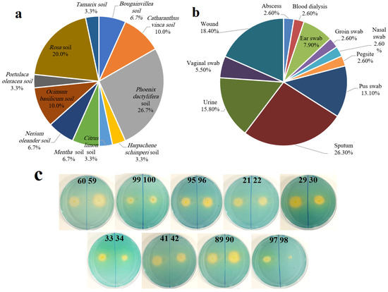 Production and Antibacterial Activity of Atypical Siderophore from ...