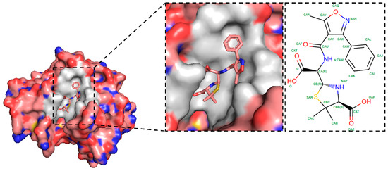 Pharmacophore-Based Study: An In Silico Perspective for the ...