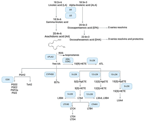 Dysregulation of the Arachidonic Acid Pathway in Cystic Fibrosis ...