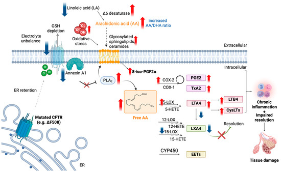 Dysregulation of the Arachidonic Acid Pathway in Cystic Fibrosis ...