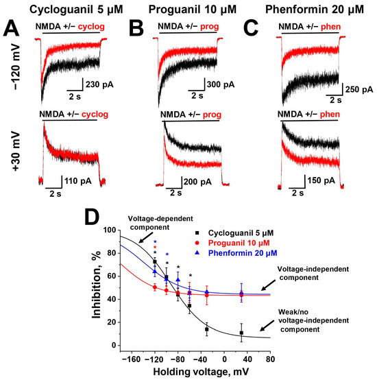 Mechanisms of NMDA Receptor Inhibition by Biguanide Compounds