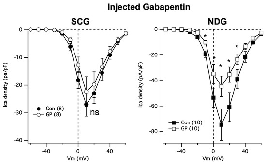 Rat Sympathetic Neuron Calcium Channels Are Insensitive to Gabapentin