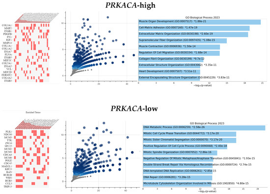 Therapeutic, Clinicopathological, and Molecular Correlates of PRKACA ...
