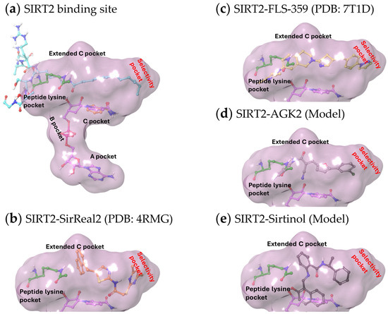 Drugs Targeting Sirtuin 2 Exhibit Broad-Spectrum Anti-Infective Activity
