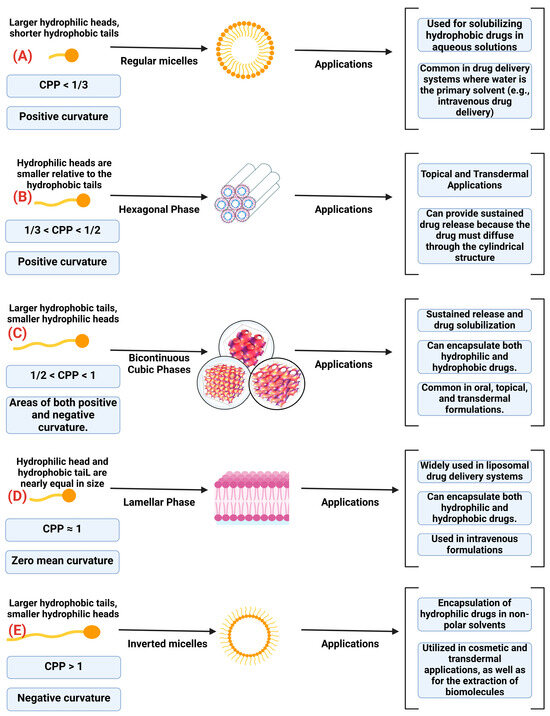 Recent Advances in Ocular Drug Delivery: Insights into Lyotropic Liquid ...