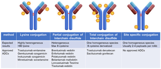 Present Scenario and Future Landscape of Payloads for ADCs: Focus on ...