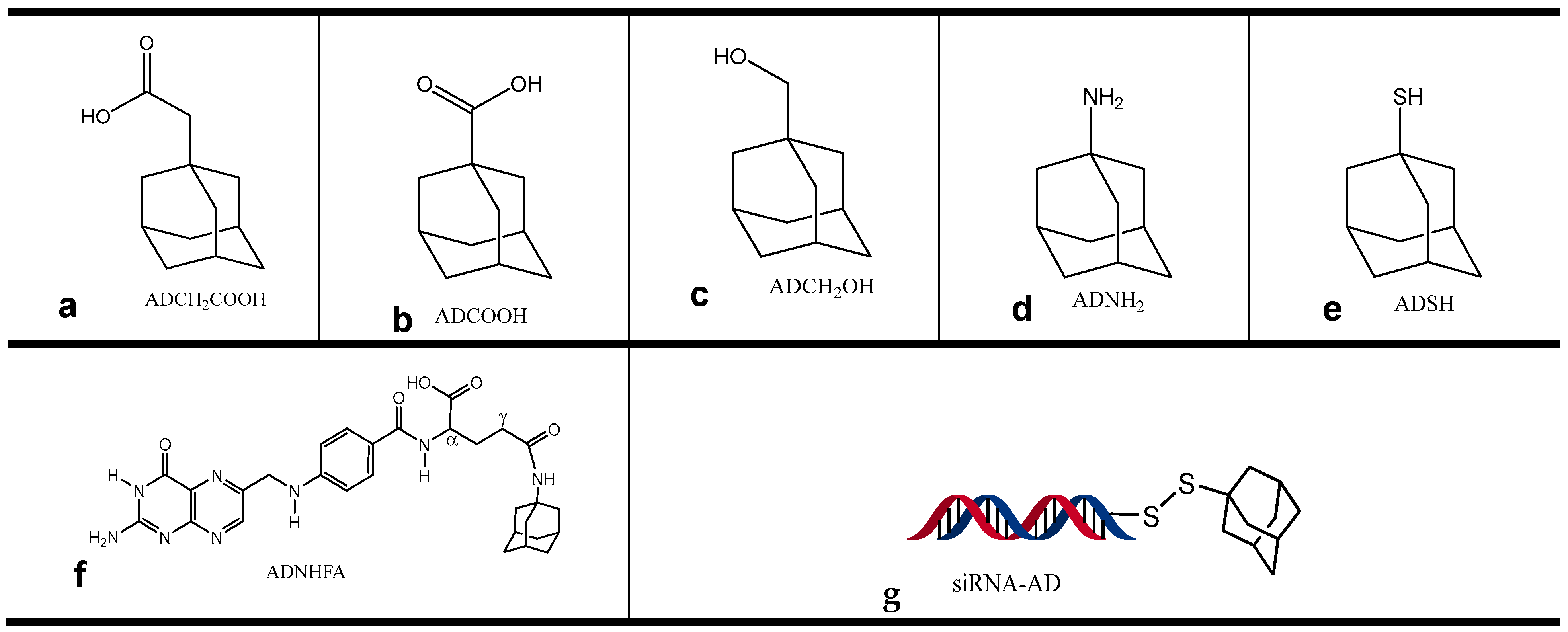 Effect of Cyclodextrins Formulated in Liposomes and Gold and Selenium ...