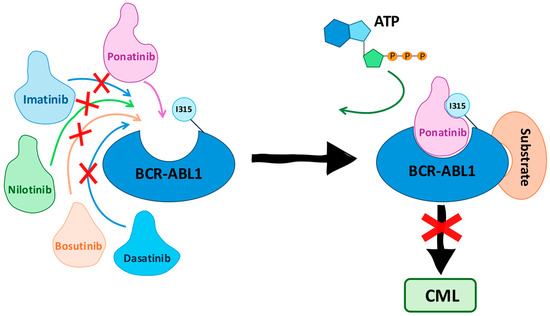 Ponatinib: A Review of the History of Medicinal Chemistry behind Its ...