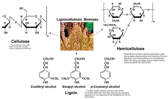 Lignin: An Adaptable Biodegradable Polymer Used in Different ...