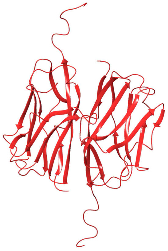 In Silico Modeling of Myelin Oligodendrocyte Glycoprotein Disulfide ...