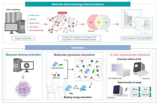 Therapeutic Effect of Shikimic Acid on Heat Stress-Induced Myocardial ...