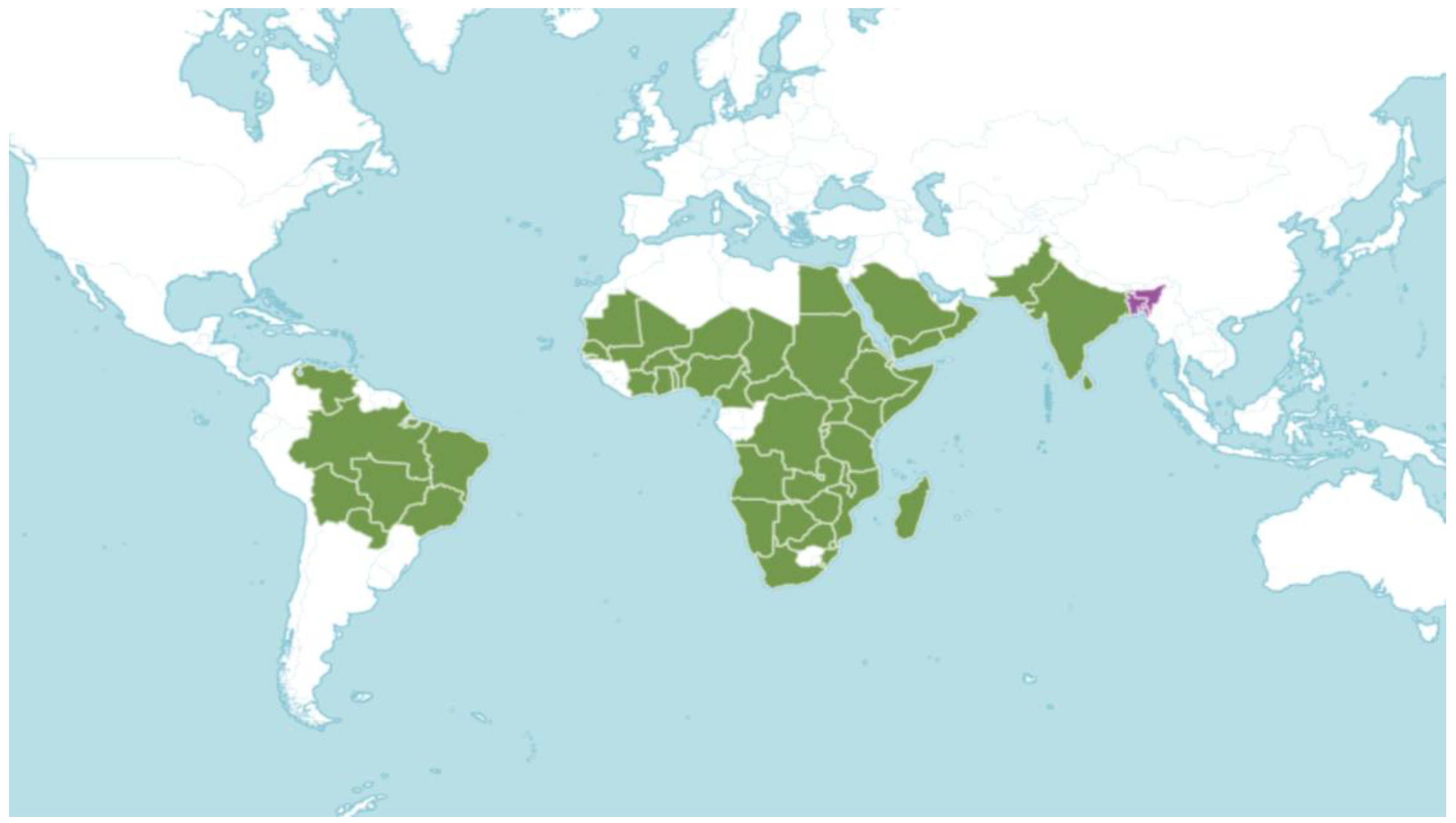 The Genus Commiphora: An Overview of Its Traditional Uses ...