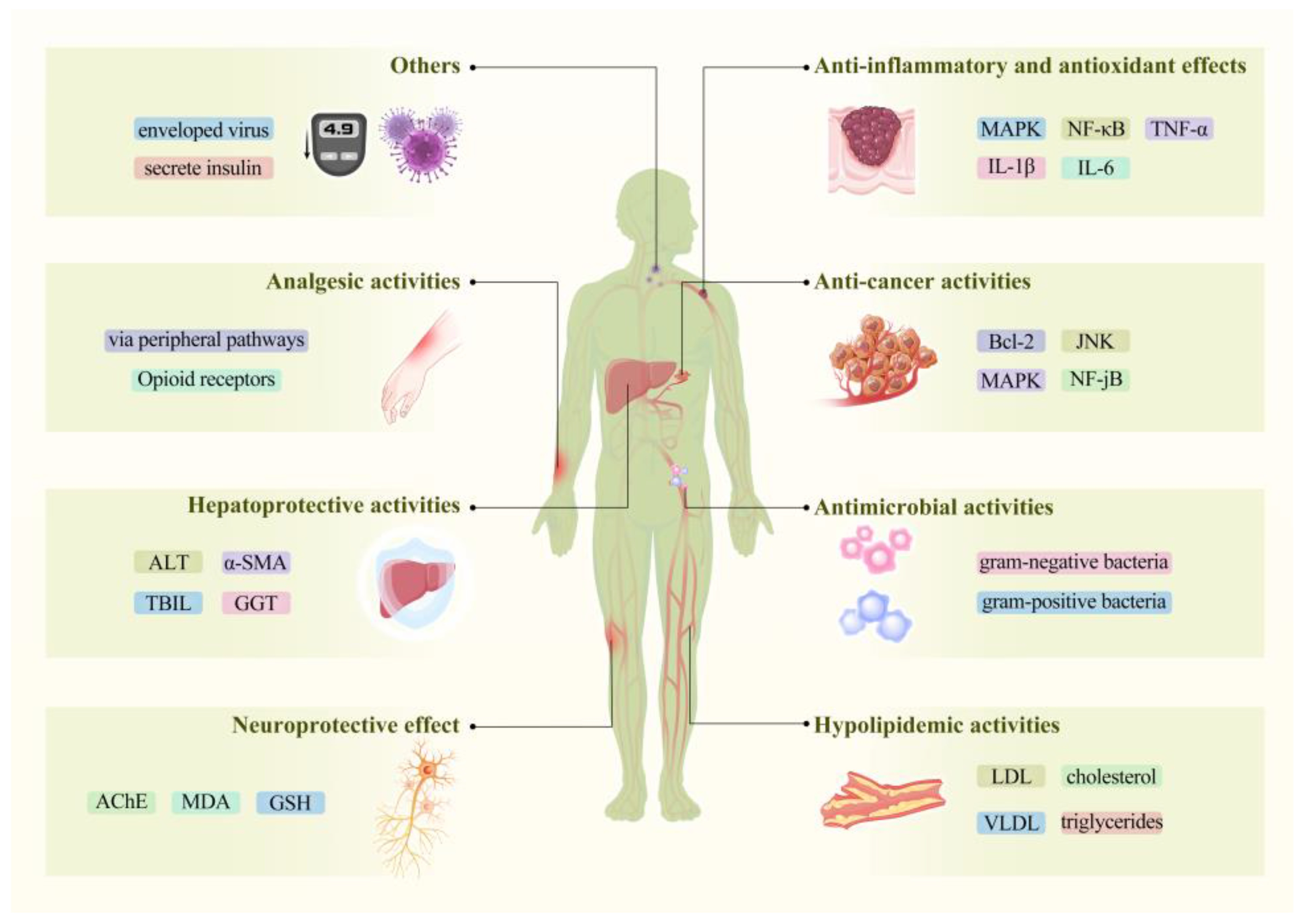 The Genus Commiphora: An Overview of Its Traditional Uses ...